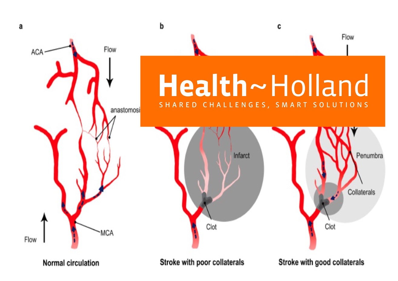 TKI-AMC | Efstratios Gavves